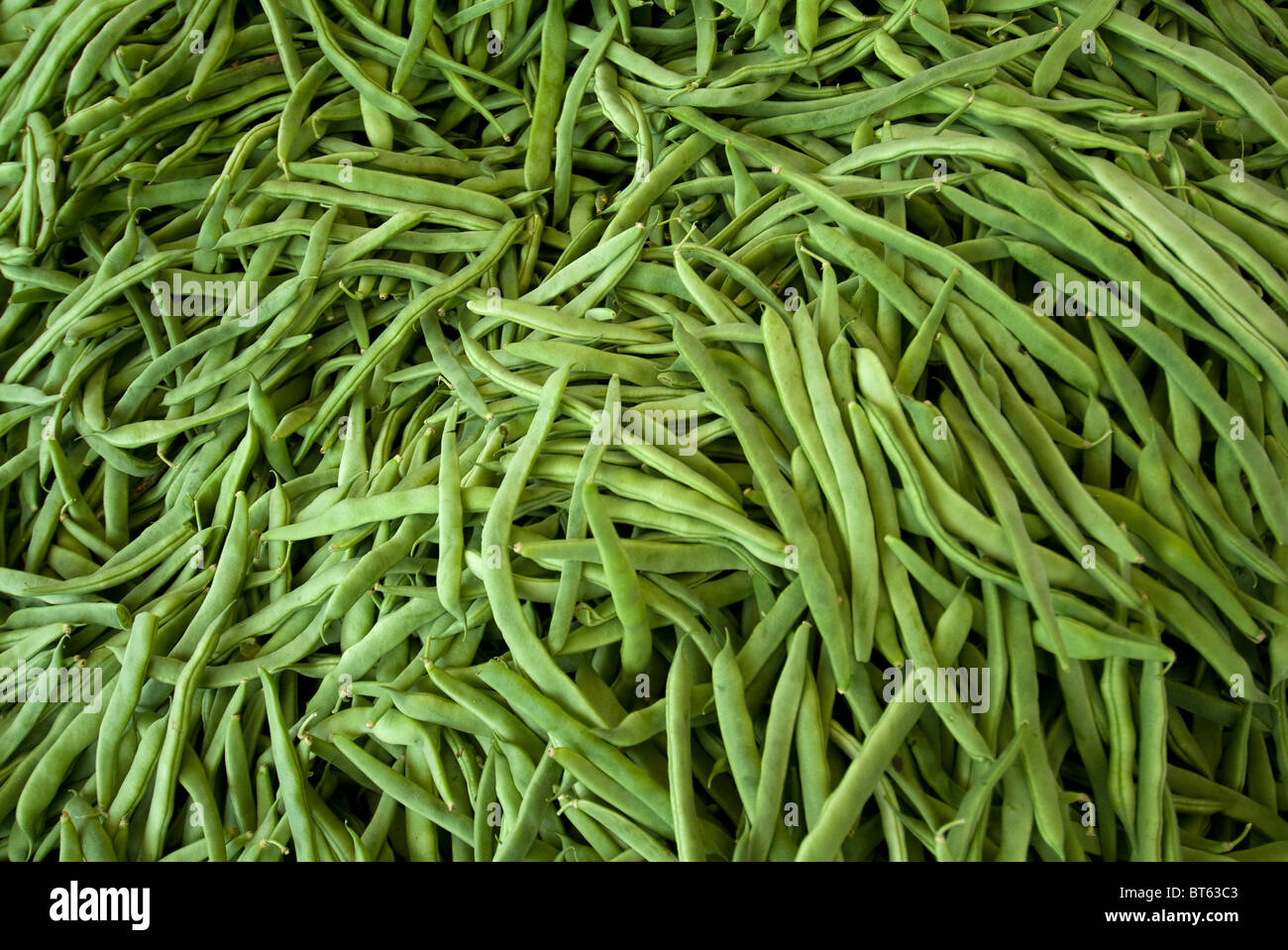 green bean string Stock Photo - Alamy