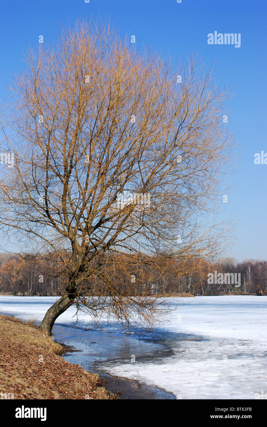 Spring by the lake hi-res stock photography and images - Alamy