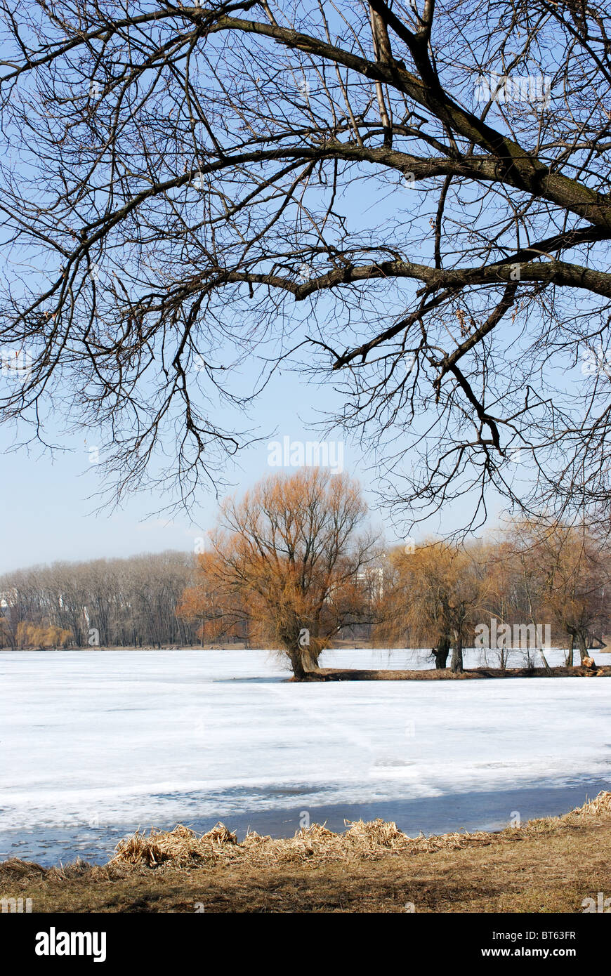 Spring by the lake hi-res stock photography and images - Alamy