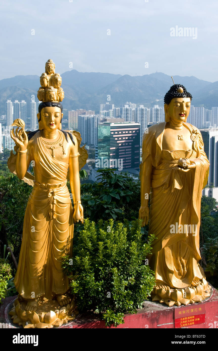 ten thousand buddhas pagoda temple 10000 10 000 Monastery Man Fat Tsz ...