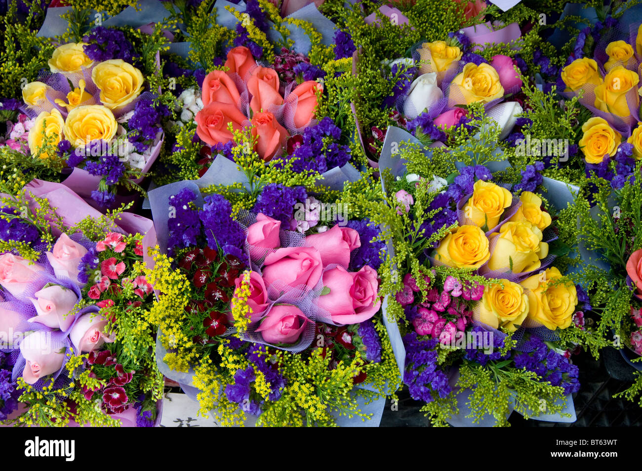 bunch group red pink yellow rose head bloom bud open petal overhead ...