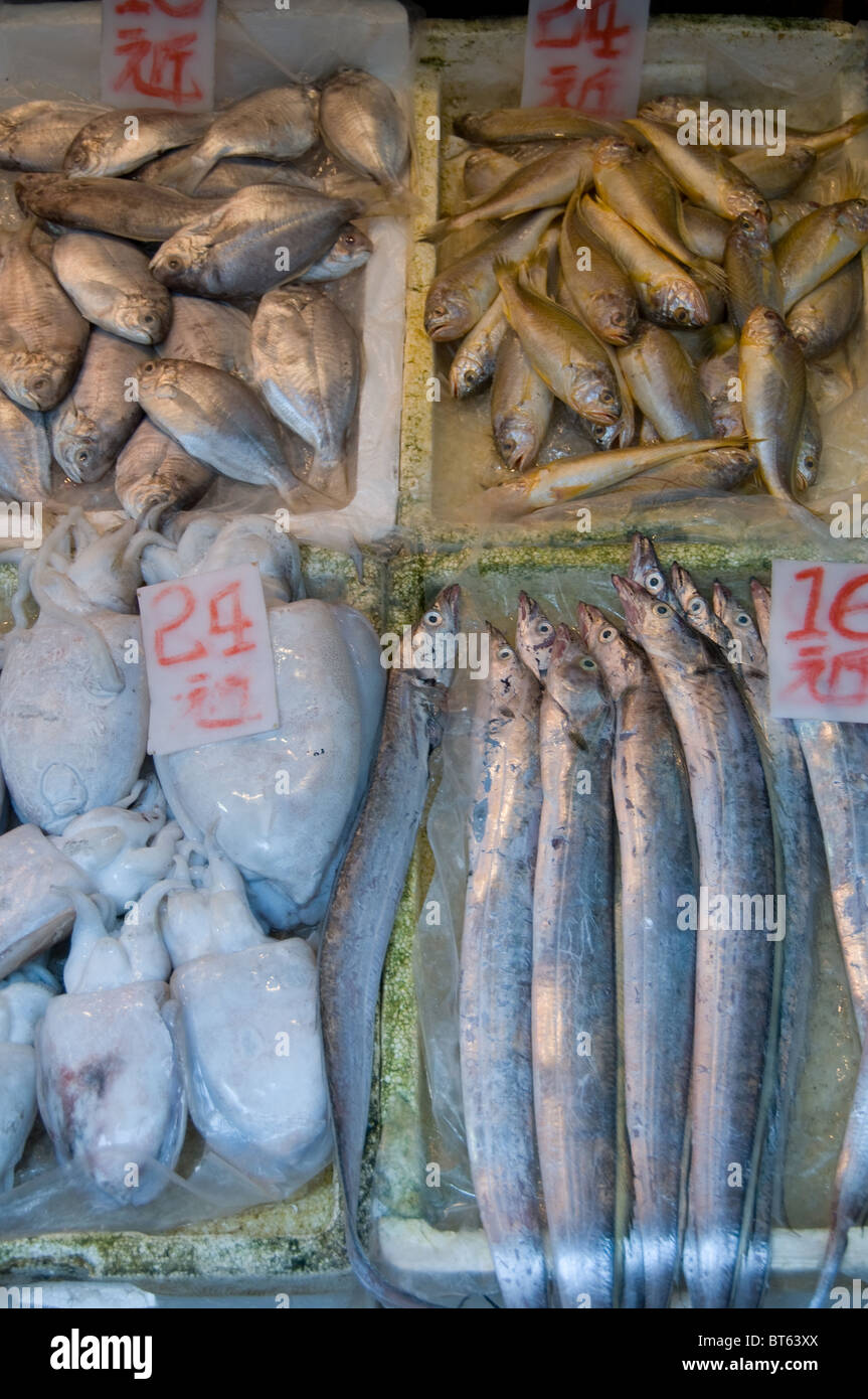 Edible Sea Fish Pictures Fisher Edible Jersey