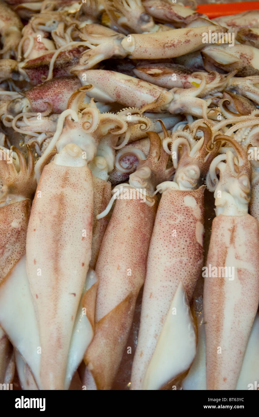 Squid marine cephalopod eat produce marine wet diet dietary market food ...