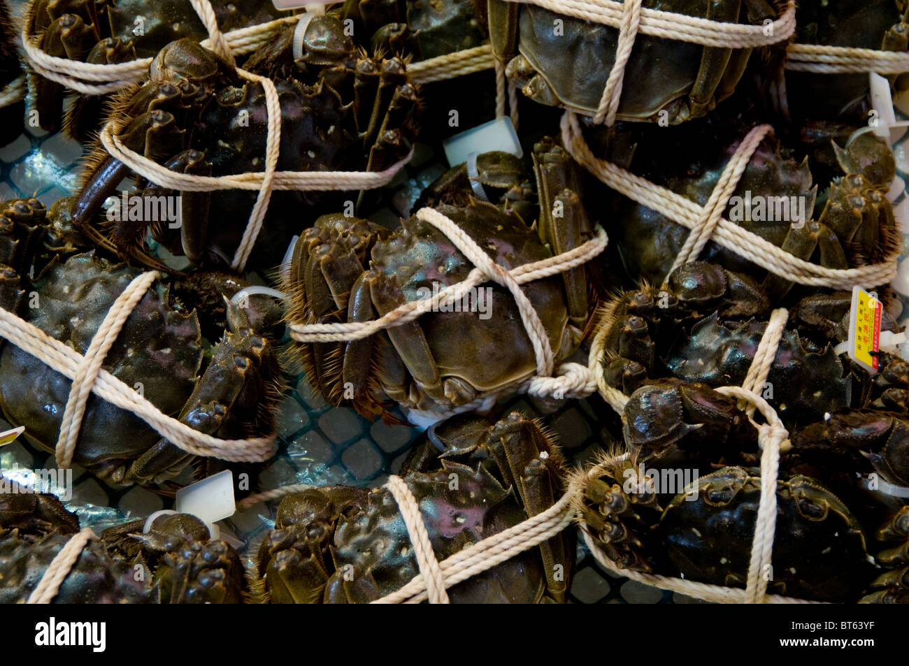 green crab eat produce marine wet diet dietary market food edible fresh ...