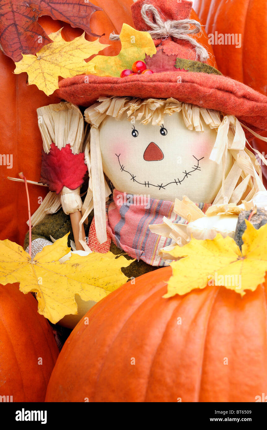 Decorative Scarecrow Surrounded By Pumpkins To Celebrate The Fall ...