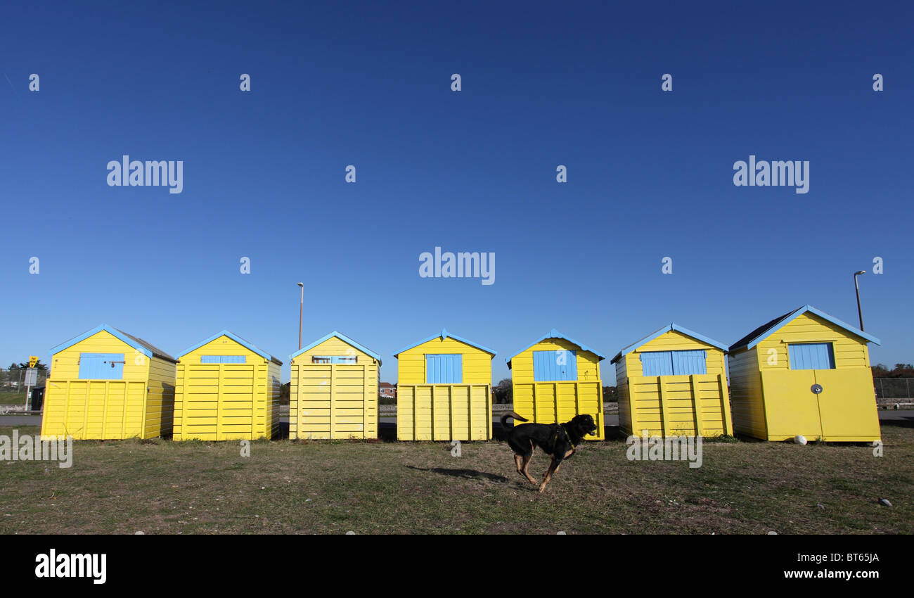 Colourful beach huts on Littlehampton seafront Stock Photo - Alamy