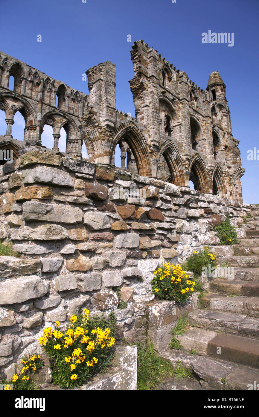 WHITBY ABBEY STONEWORK WHITBY NORTH YORKSHIRE WHITBY NORTH YORKSHIRE ...