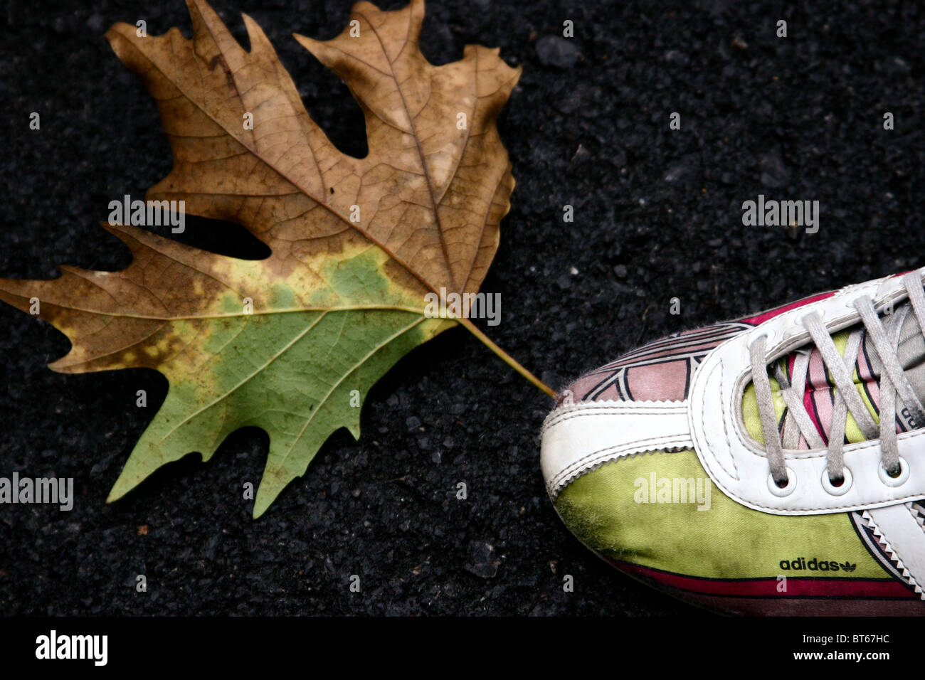 Steni village hi-res stock photography and images - Alamy