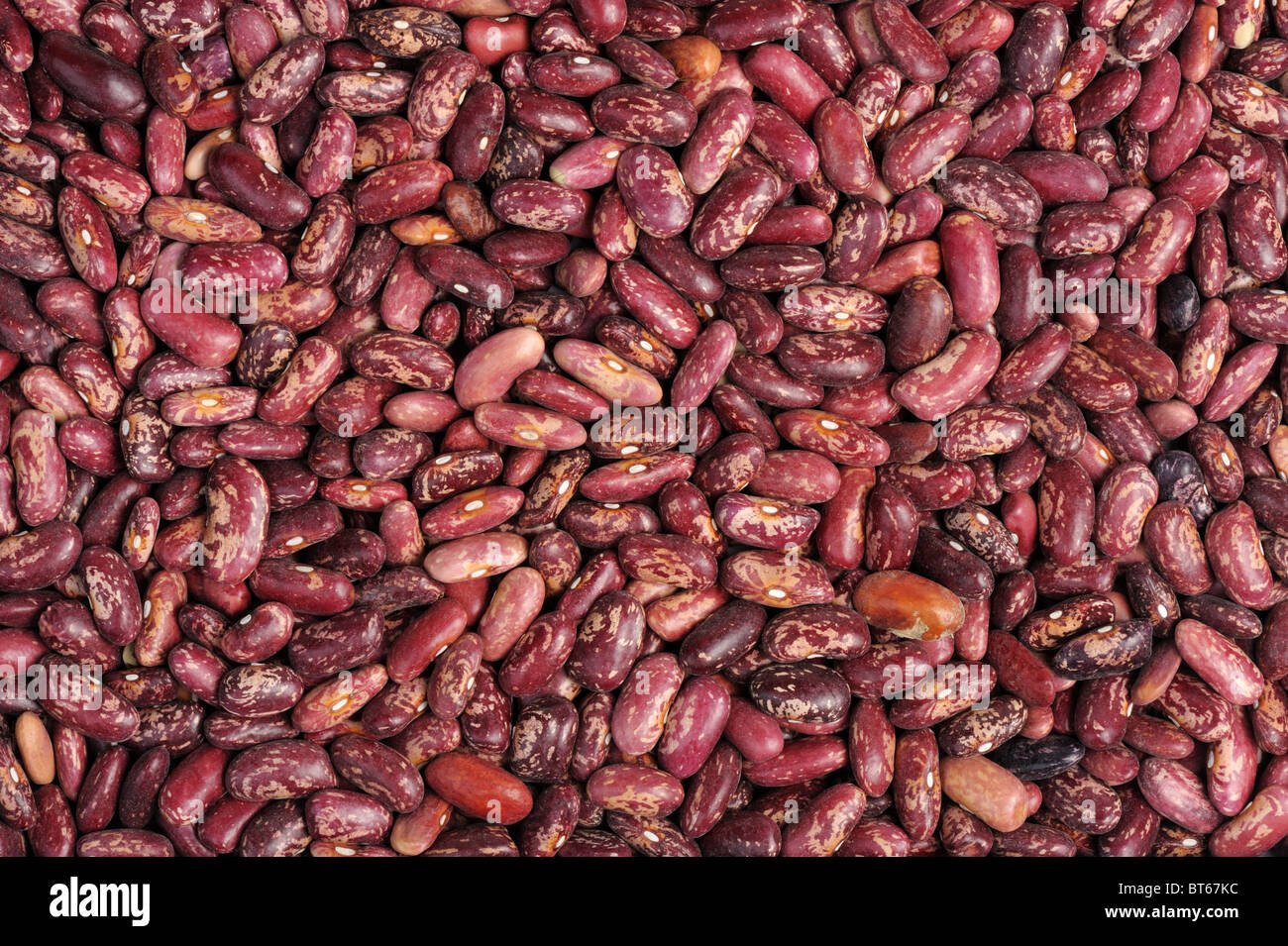Spotted beans hi-res stock photography and images - Alamy