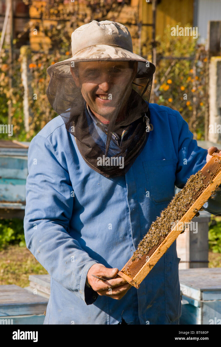 Bee-keeper among his hives in the old saxon village of Mesendorf ...