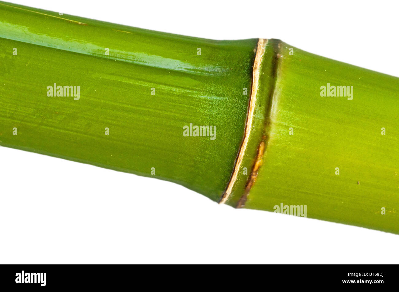 Bamboo green construction hi-res stock photography and images - Alamy