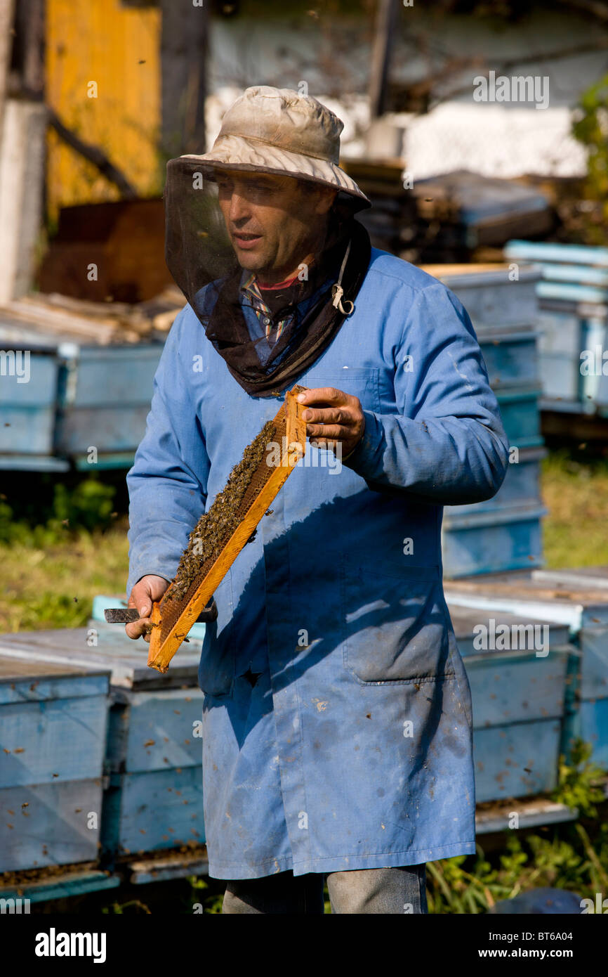 Old bee keeping hive hi-res stock photography and images - Alamy