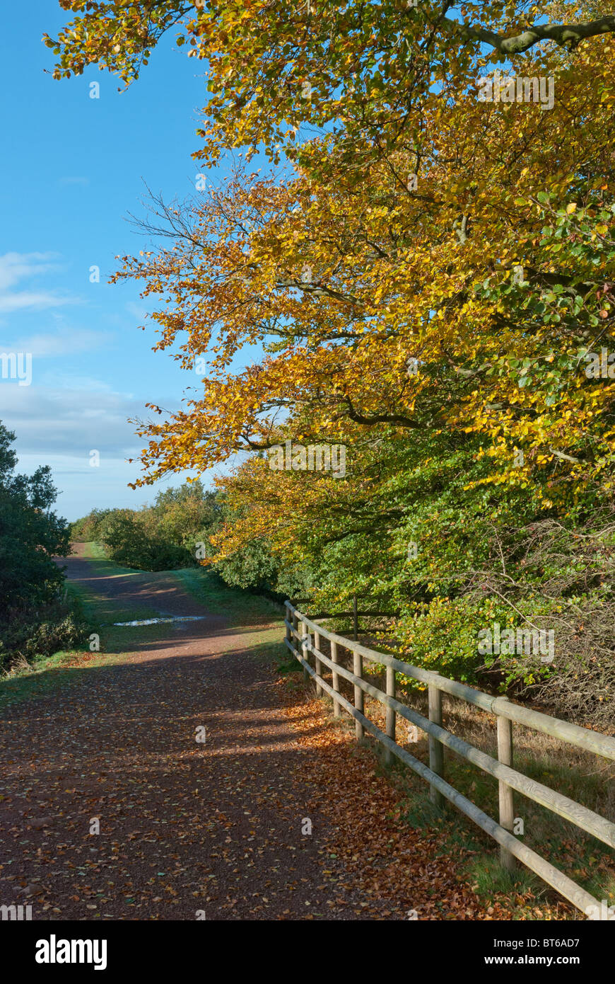 A typical autumn scene in the Worcestershire countryside Stock Photo ...