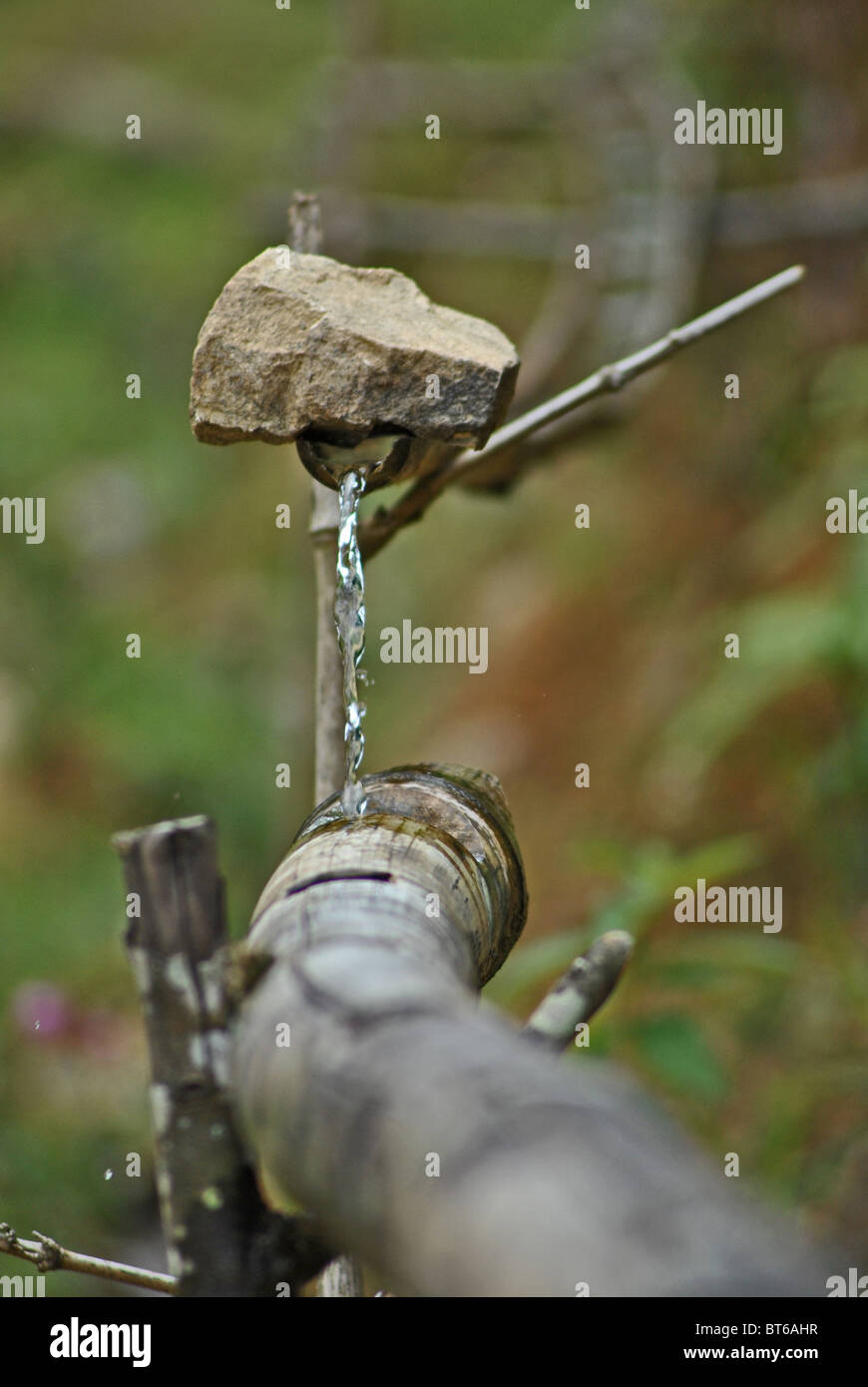 Bamboo irrigation system on a rice farm near Sapa, Vietnam Stock Photo ...