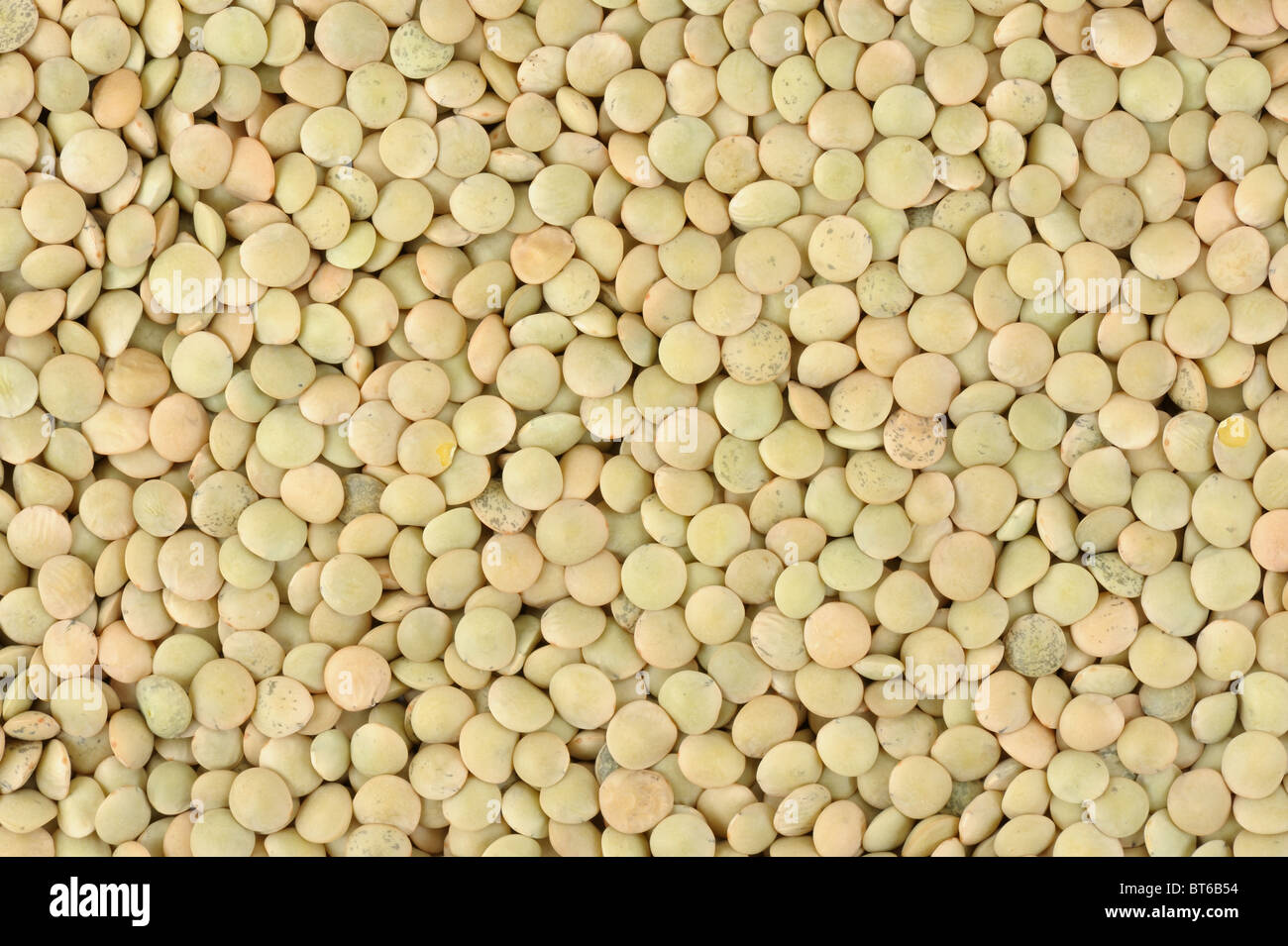 Harvesting lentils hi-res stock photography and images - Alamy