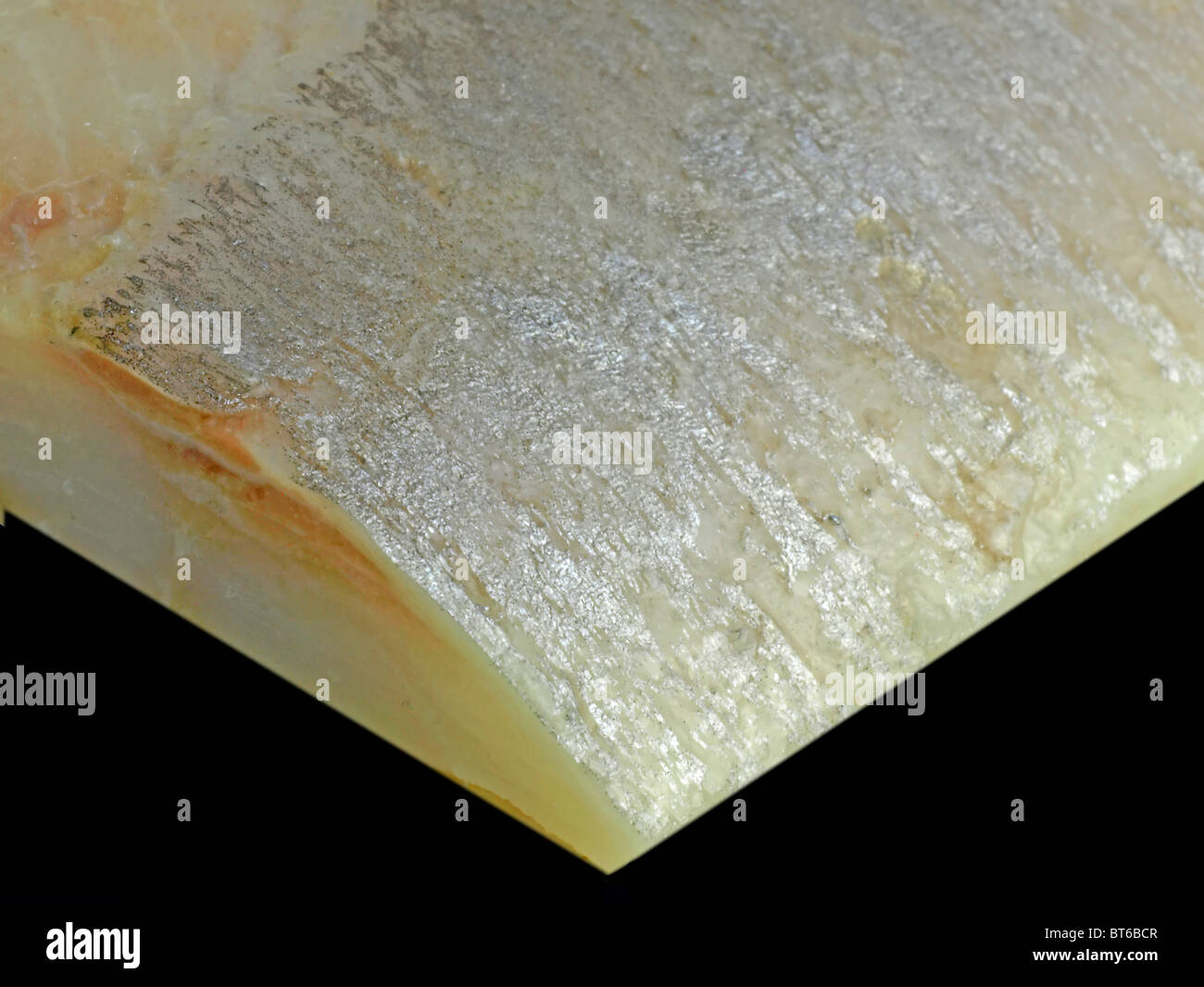 Matjes fish hi-res stock photography and images - Alamy