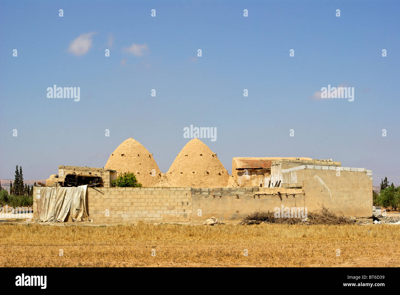Beehive houses, Syria Stock Photo - Alamy