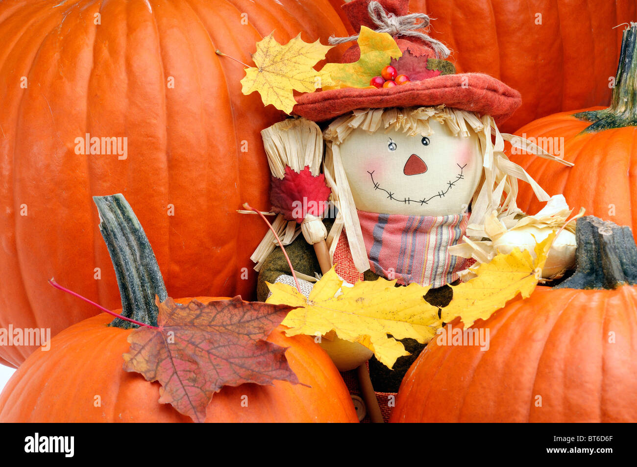 Decorative Scarecrow Surrounded By Pumpkins To Celebrate The Fall ...