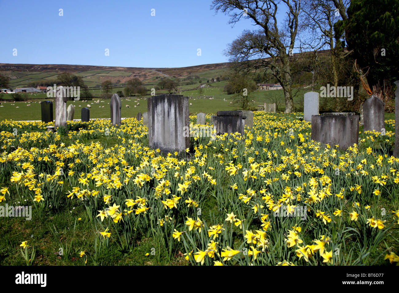 St marys church farndale hi-res stock photography and images - Alamy