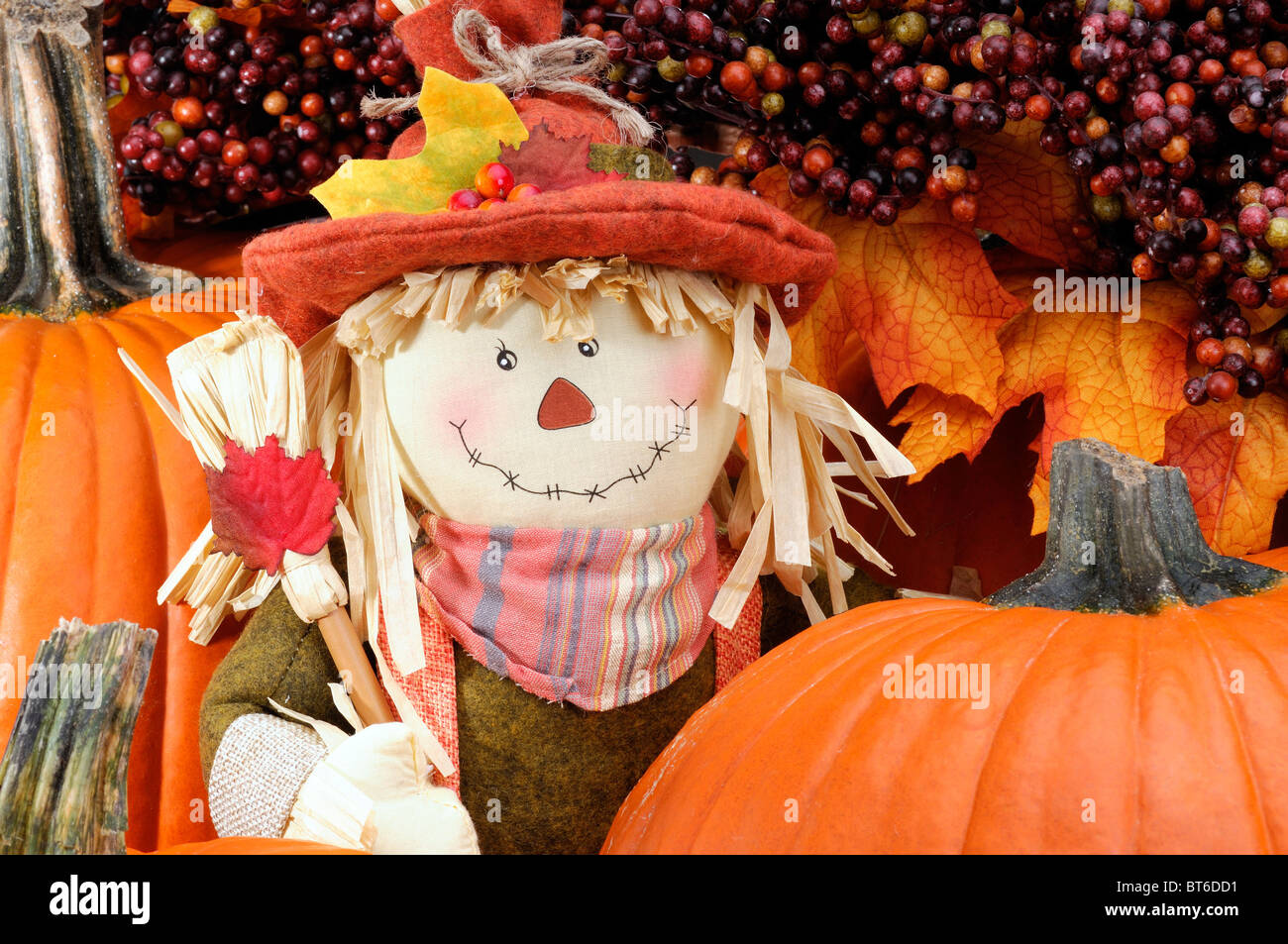 Decorative Scarecrow Surrounded By Pumpkins To Celebrate The Fall ...
