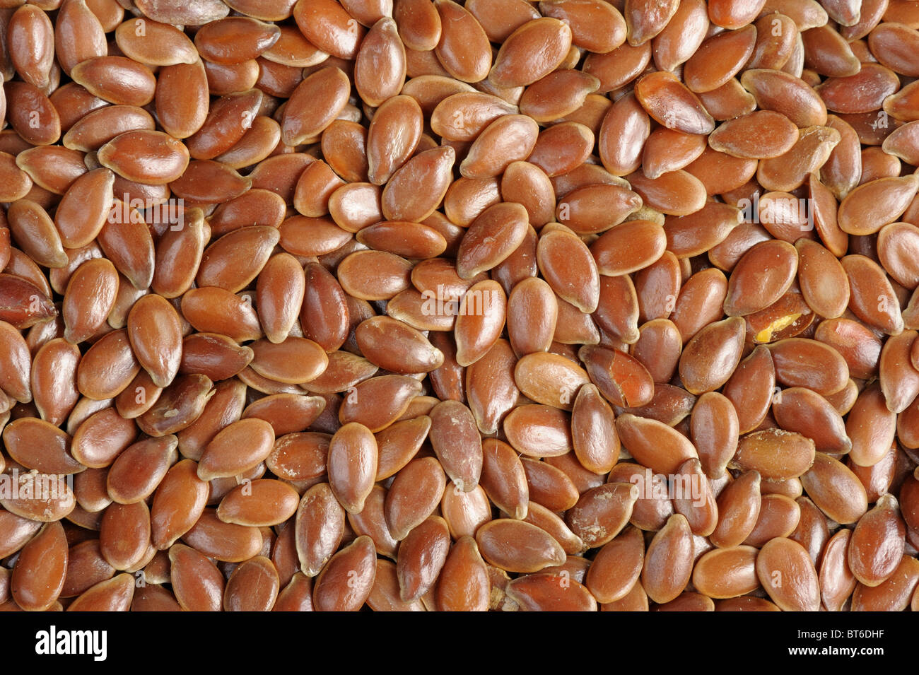 Flaxseed hi-res stock photography and images - Alamy