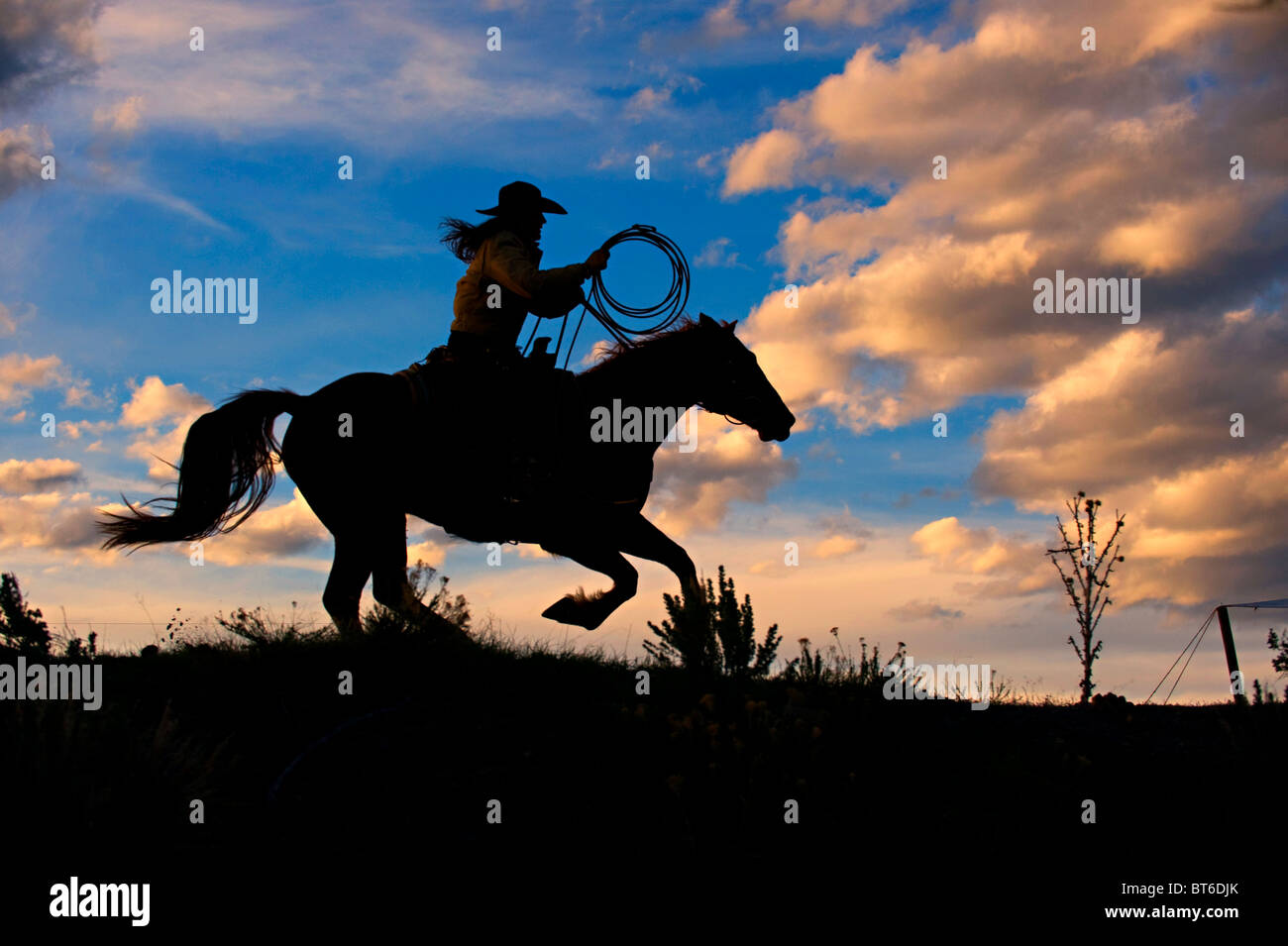 Cowgirl Riding Horse at the Sombrero Ranch in Colorado Stock Photo - Alamy