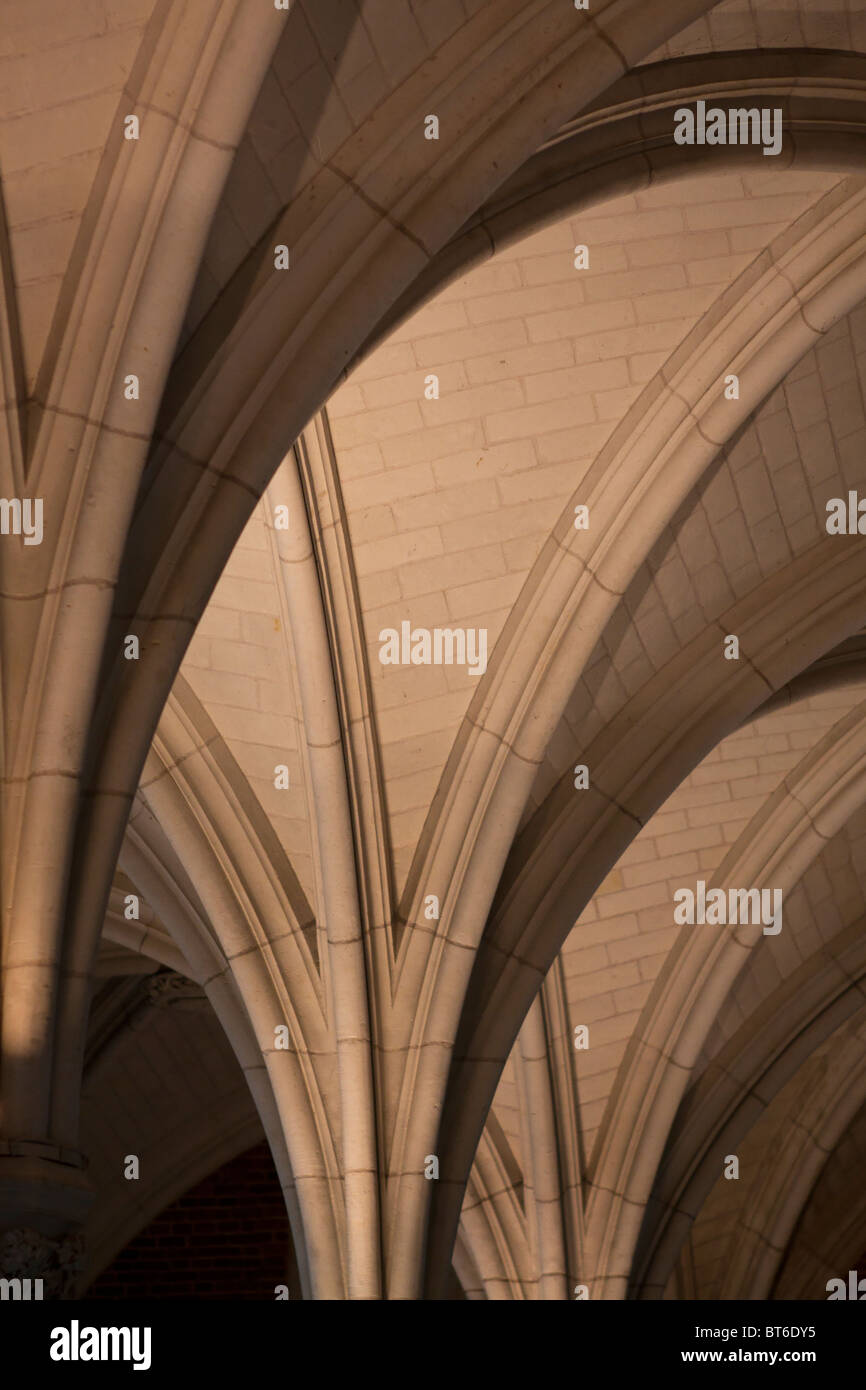 Rib vault hi-res stock photography and images - Alamy