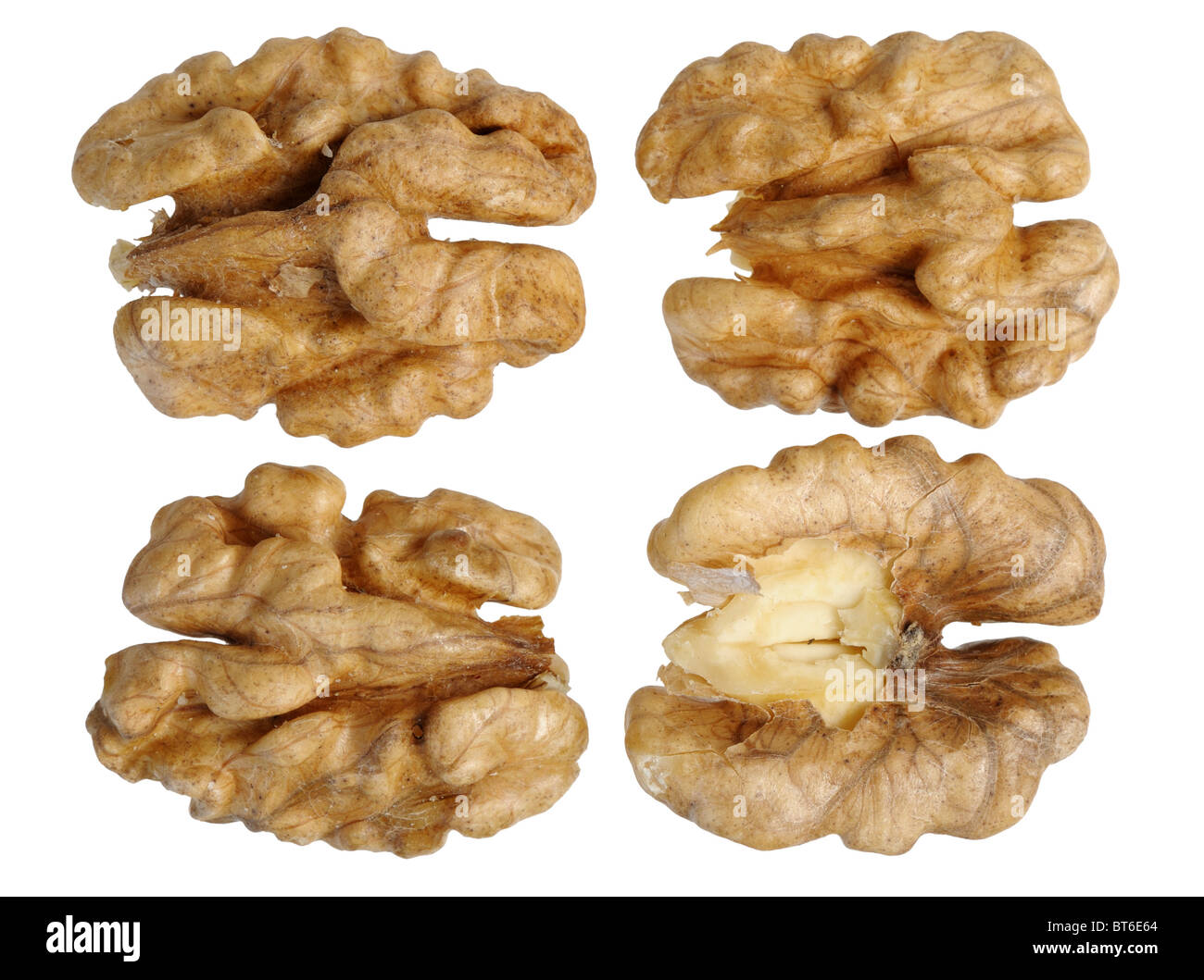 Walnuts tree Cut Out Stock Images & Pictures - Alamy
