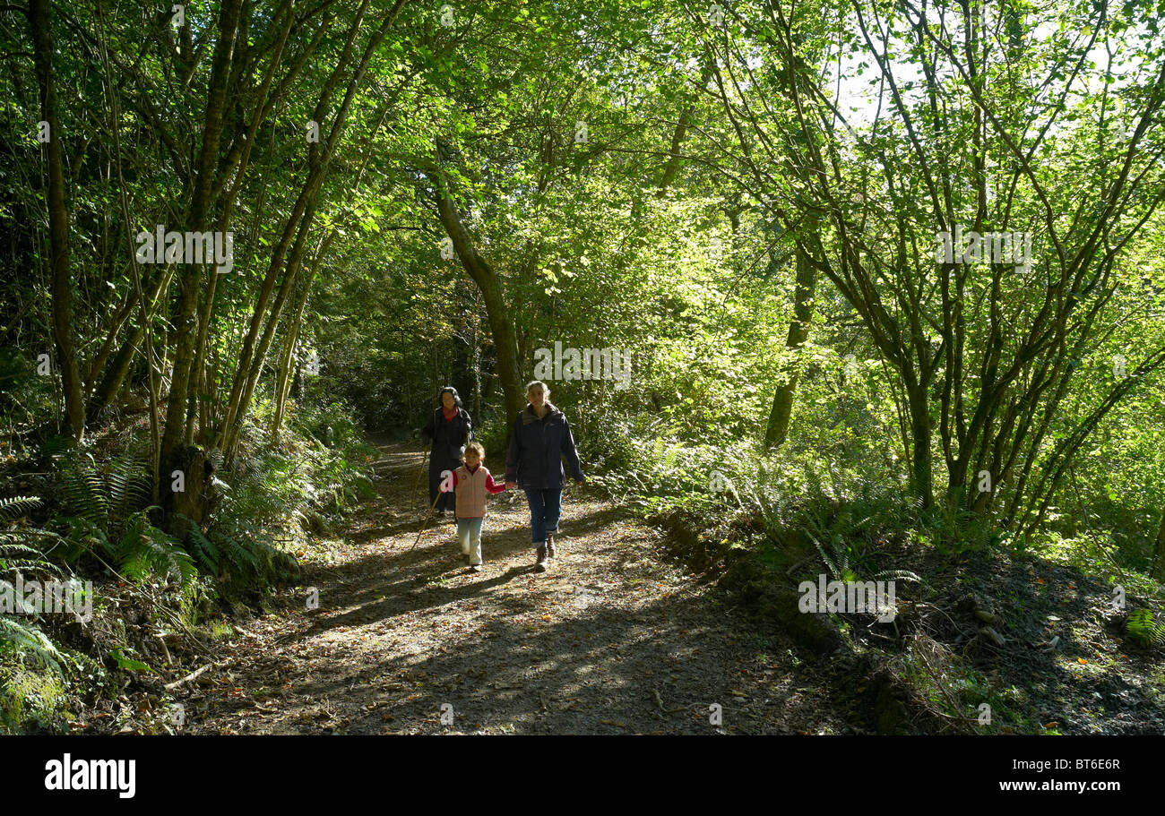 Walkers in Hisley Wood in Bovey Valley Woods Dartmoor Devon Stock Photo ...
