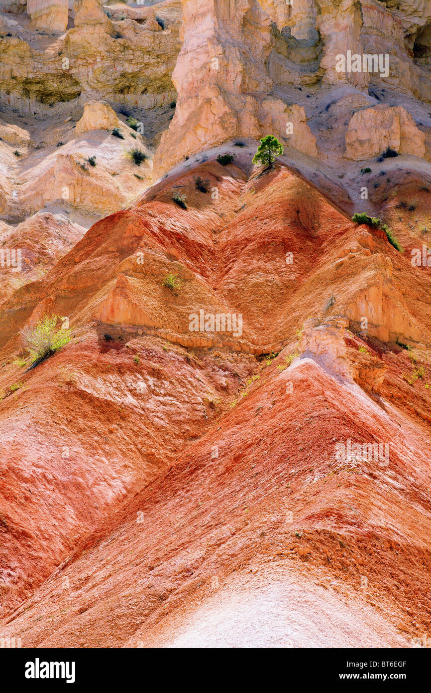 Inside of Bryce Canyon Stock Photo - Alamy