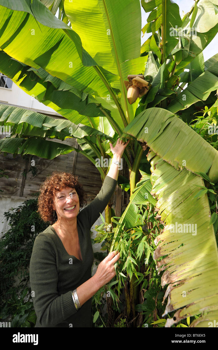 Hilary Masters with her musa basjoo tree or banana tree at her garden ...