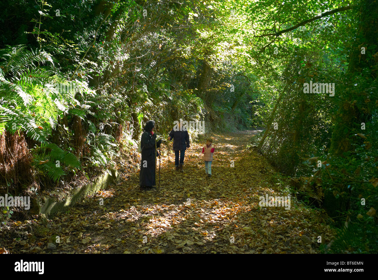 Devon Walkers High Resolution Stock Photography and Images - Alamy