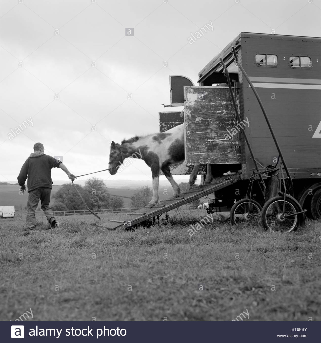 Horsebox High Resolution Stock Photography and Images - Alamy