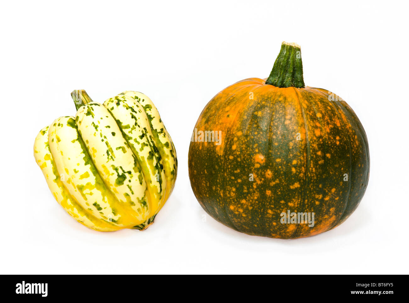 Squash Vegetables on a White Background Stock Photo - Alamy