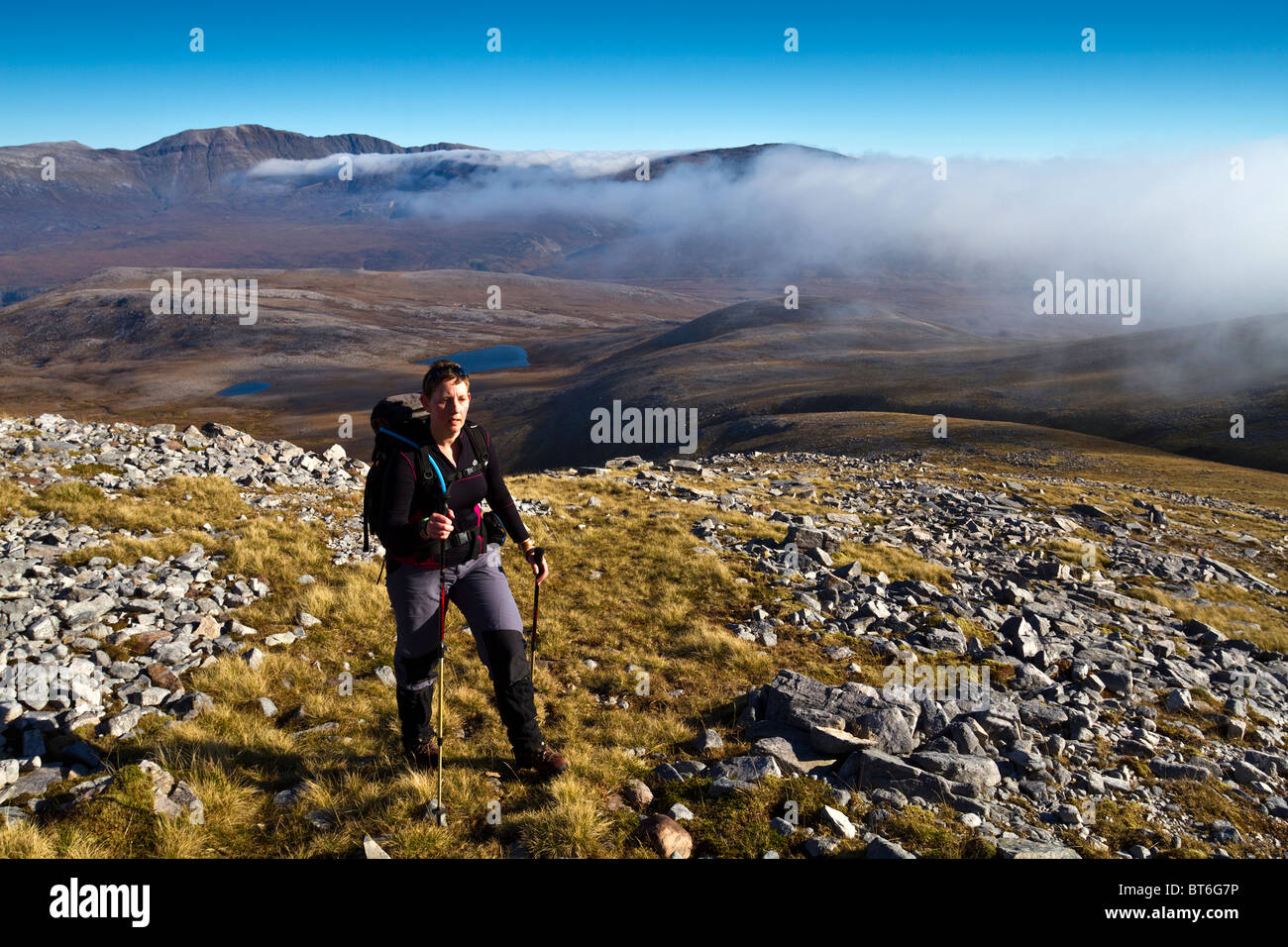 Canisp hi-res stock photography and images - Alamy