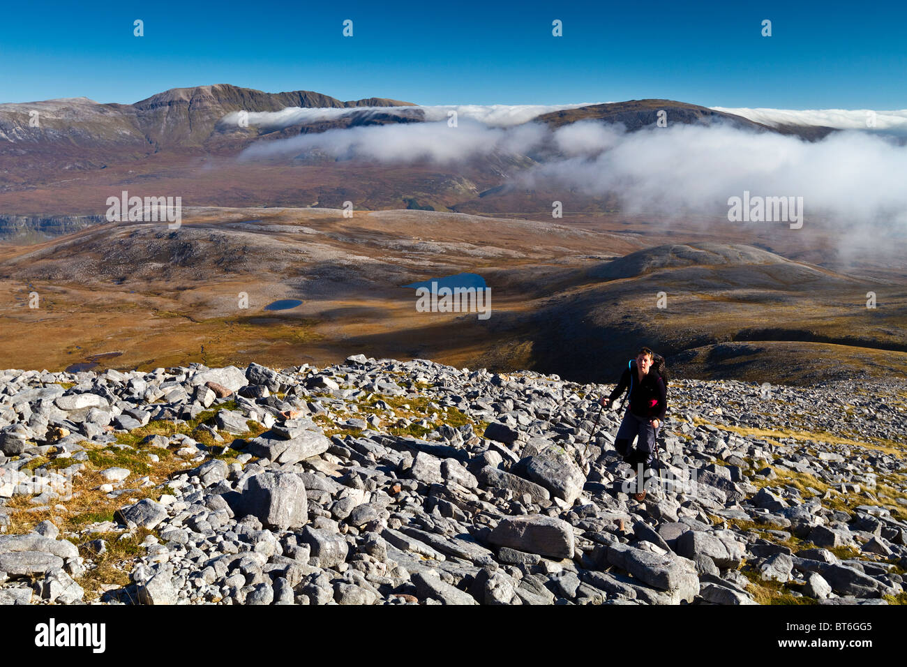 Canisp hi-res stock photography and images - Alamy