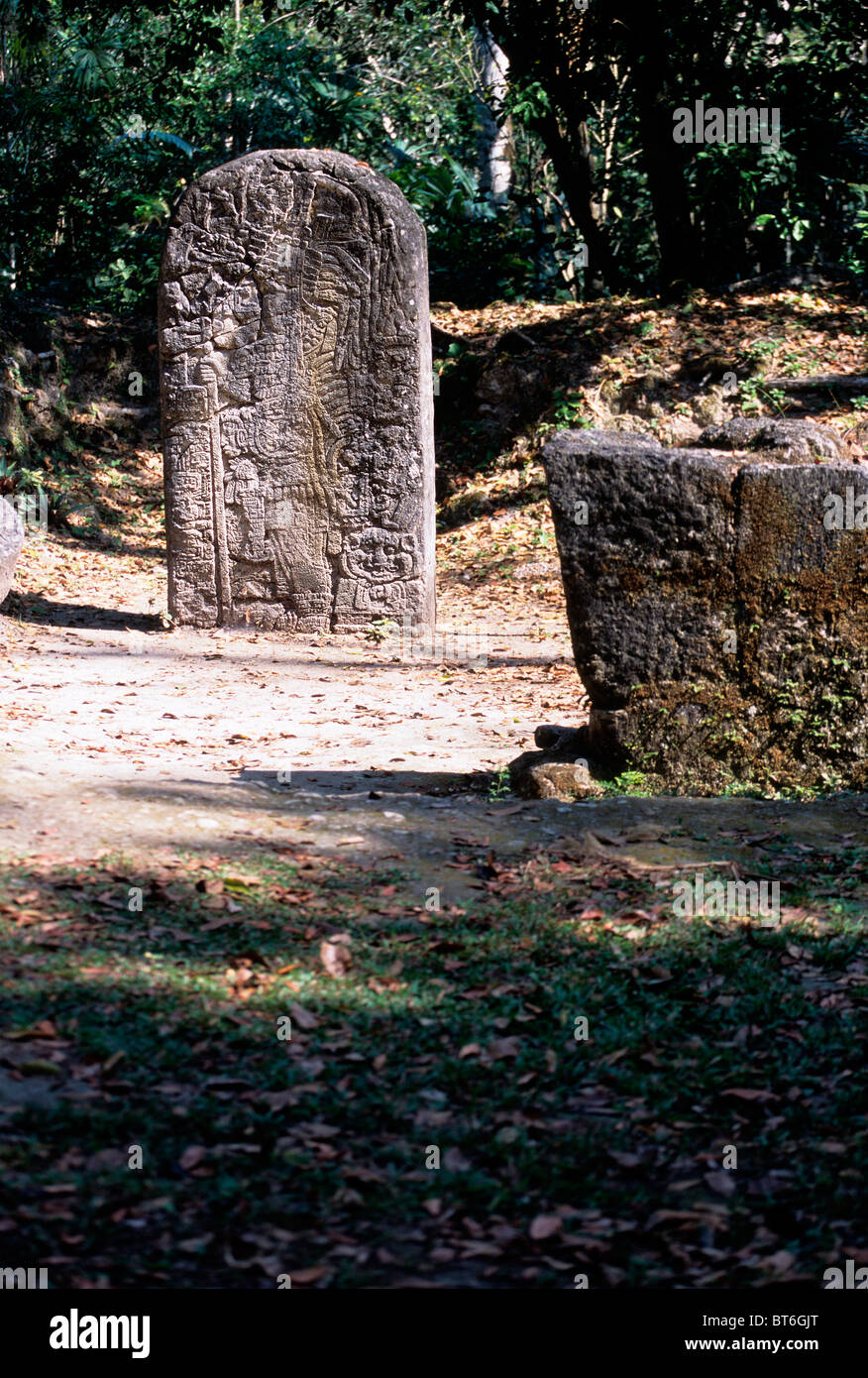Mayan stelae in the UNESCO World Heritage ruins of Tikal- Tikal ...