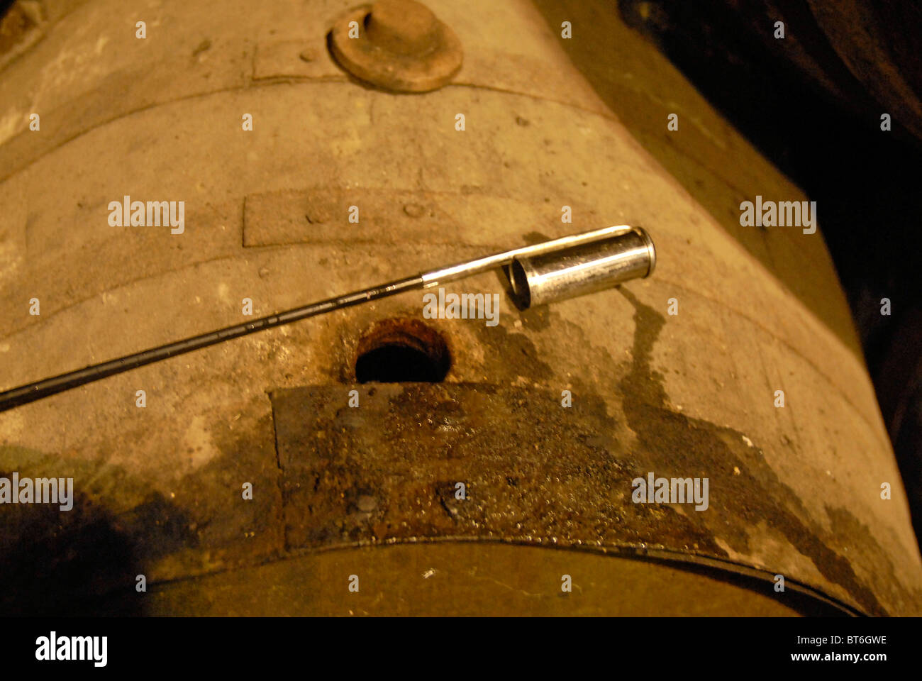 A probe of cherry taken directly from the barrel Stock Photo - Alamy