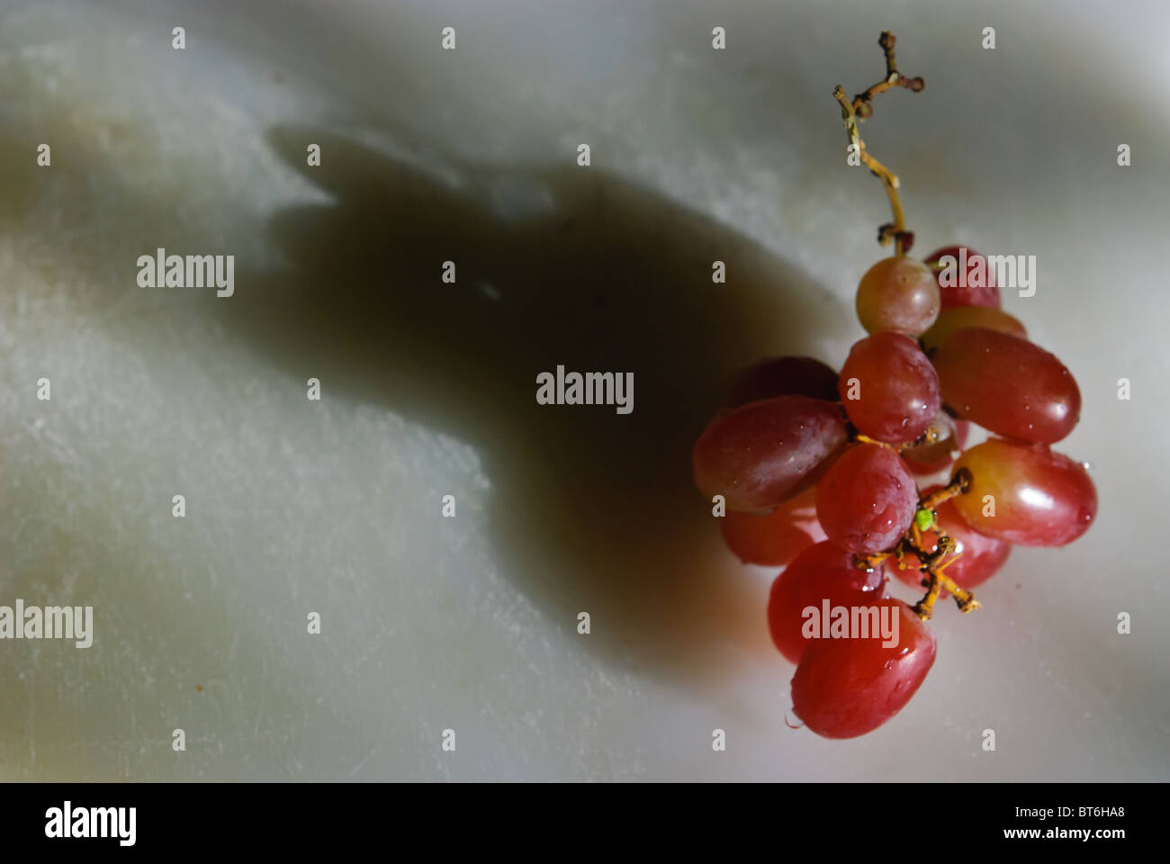 A bunch of red grapes seen in sidelight and shadow on a white chopping ...