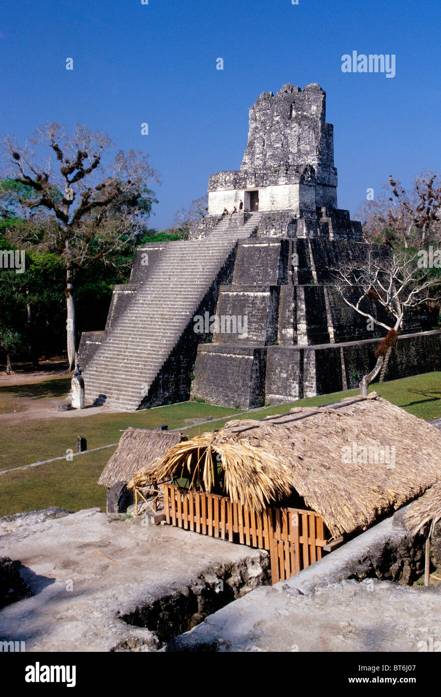 Sunrise over Mayan ruins of Temple I, in the Great Plaza of UNESCO ...