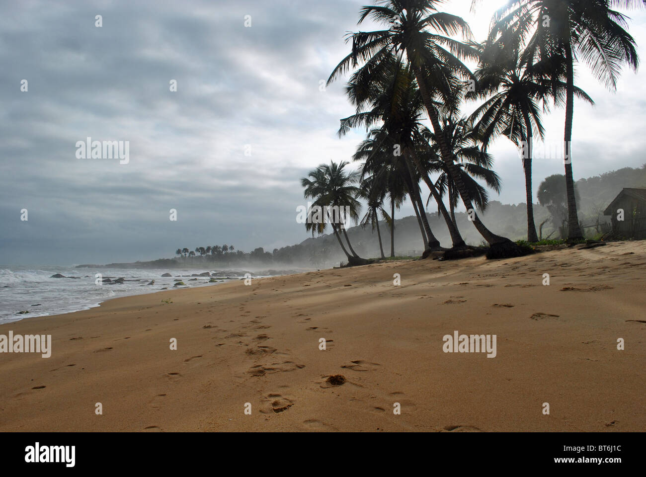 Sassandra cote divoire ivory coast hi-res stock photography and images ...