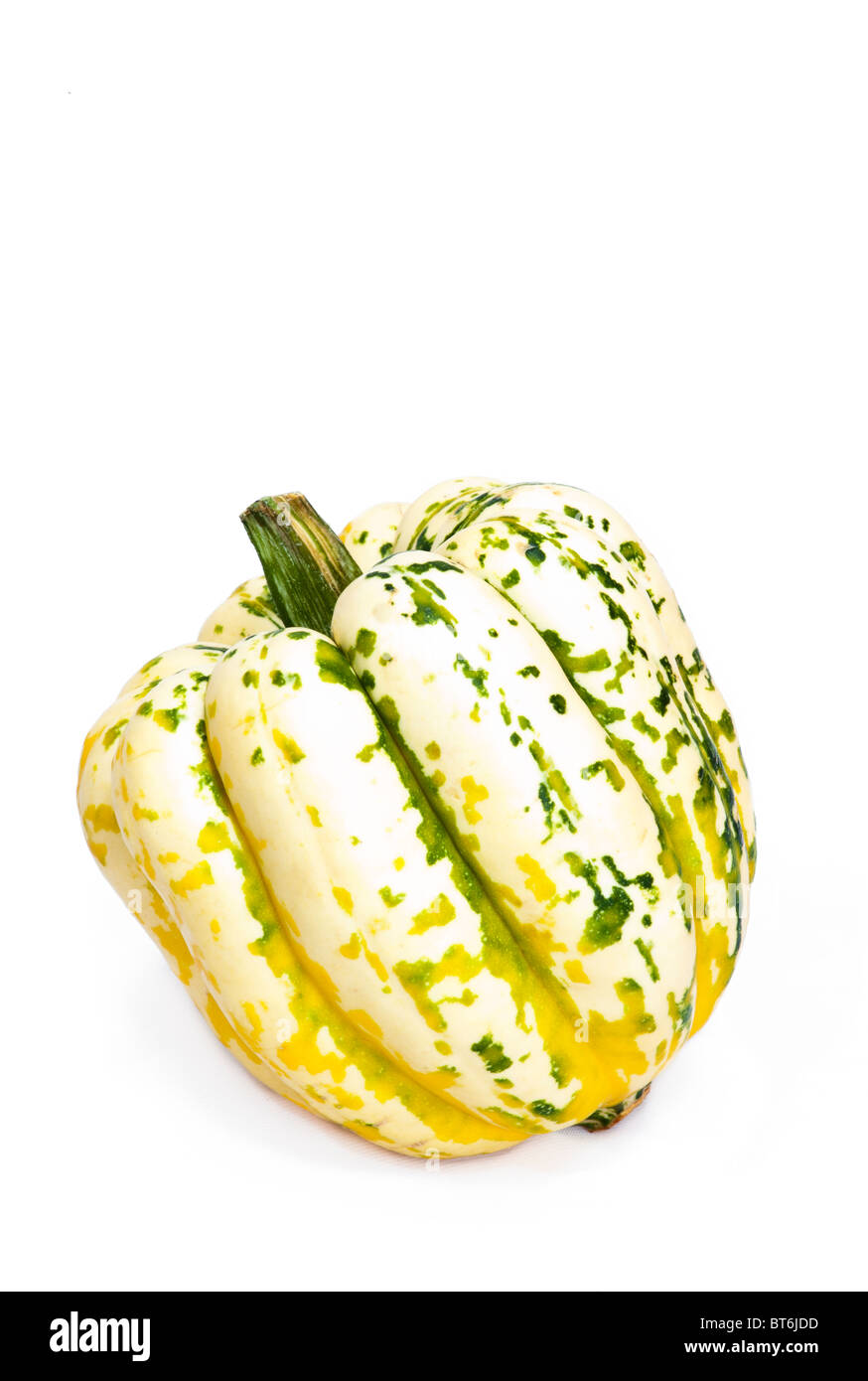 Squash Vegetable on a White Background Stock Photo - Alamy