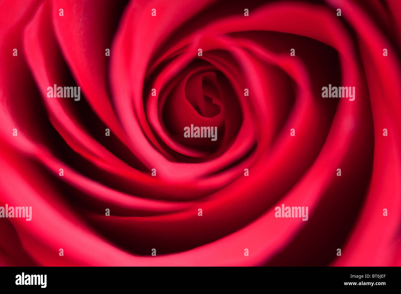 Mprphotos hi-res stock photography and images - Alamy