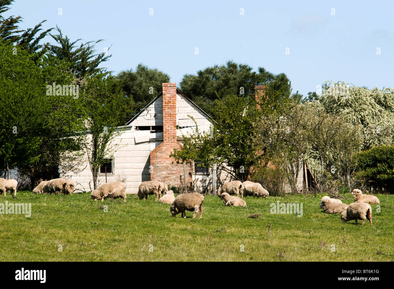 rural scene near Daylesford, Victoria, Australia Stock Photo - Alamy