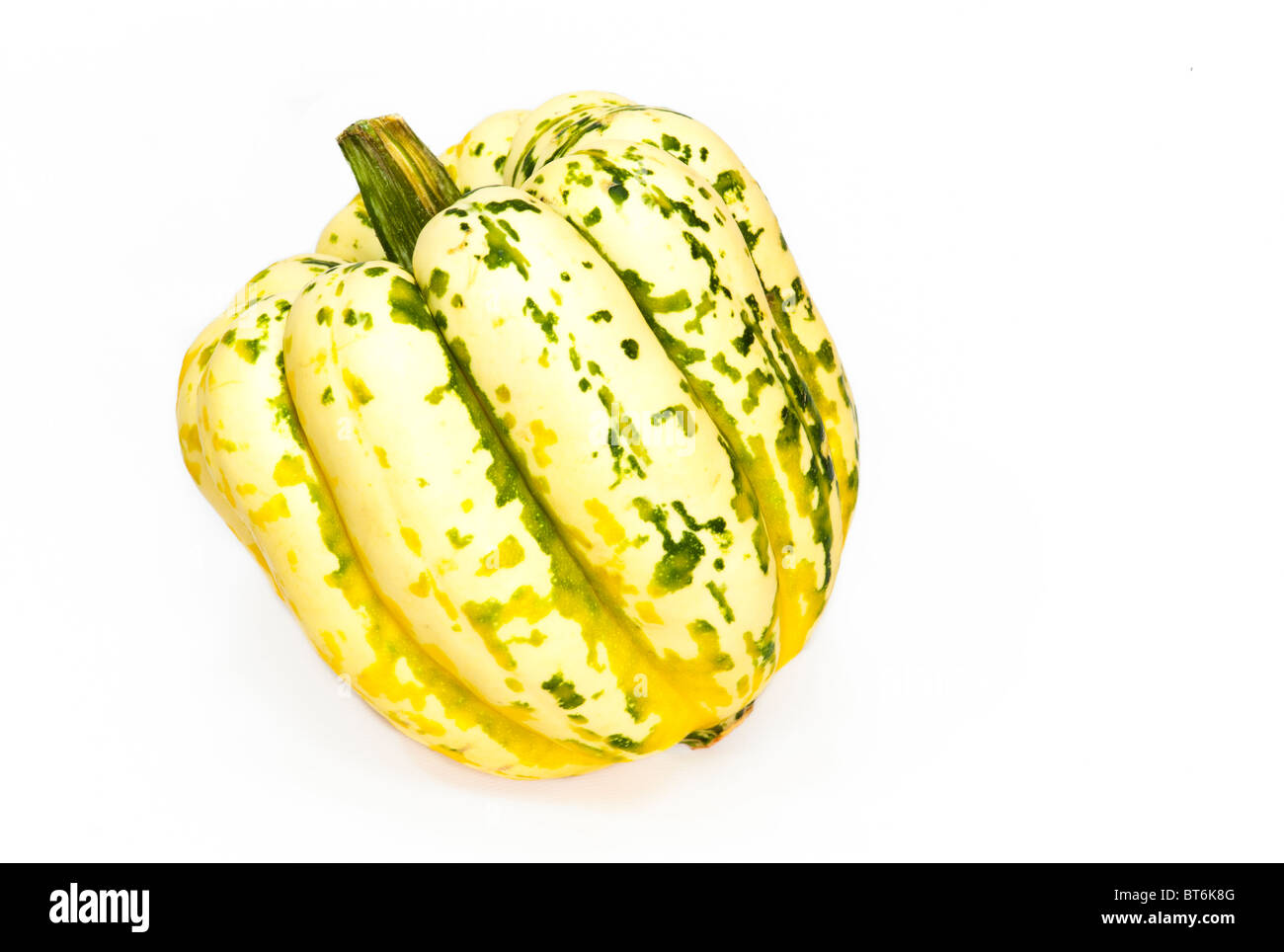 Squash Vegetable on a White Background Stock Photo - Alamy