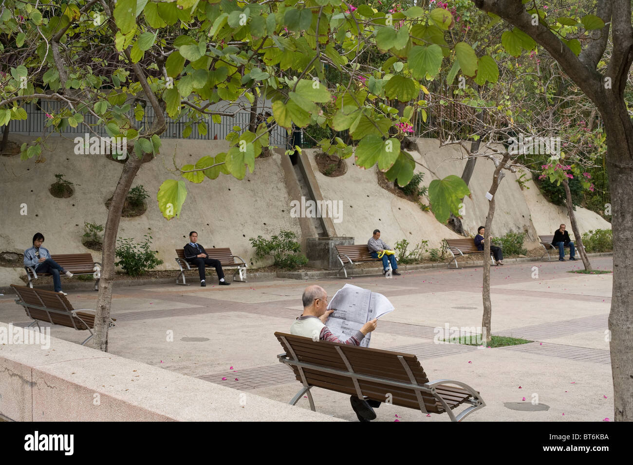 People relaxing in a park ,Hong Kong Stock Photo - Alamy