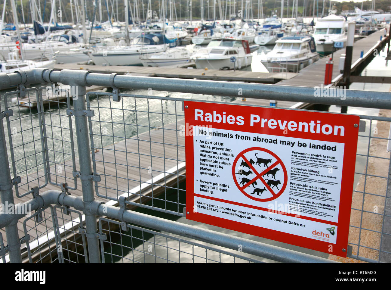 Rabies hi-res stock photography and images - Alamy