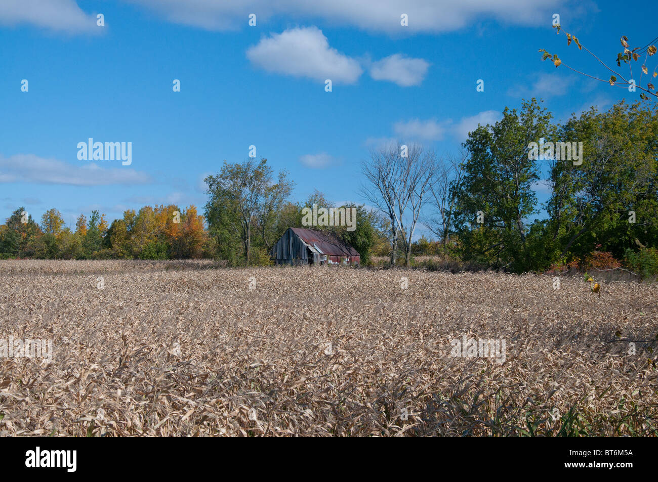 A field and old farm building in southern Quebec Stock Photo - Alamy