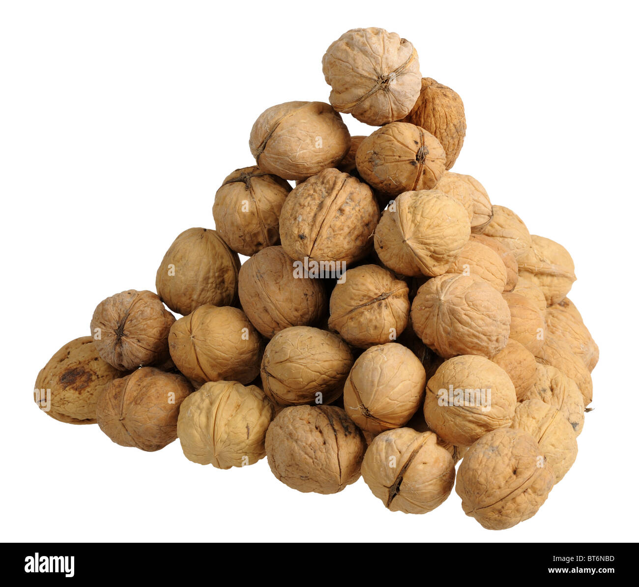walnut (Juglans regia Stock Photo - Alamy