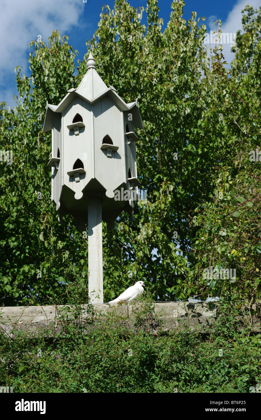 A dovecote or dovecot (Scots: Doocot) is a building intended to house ...